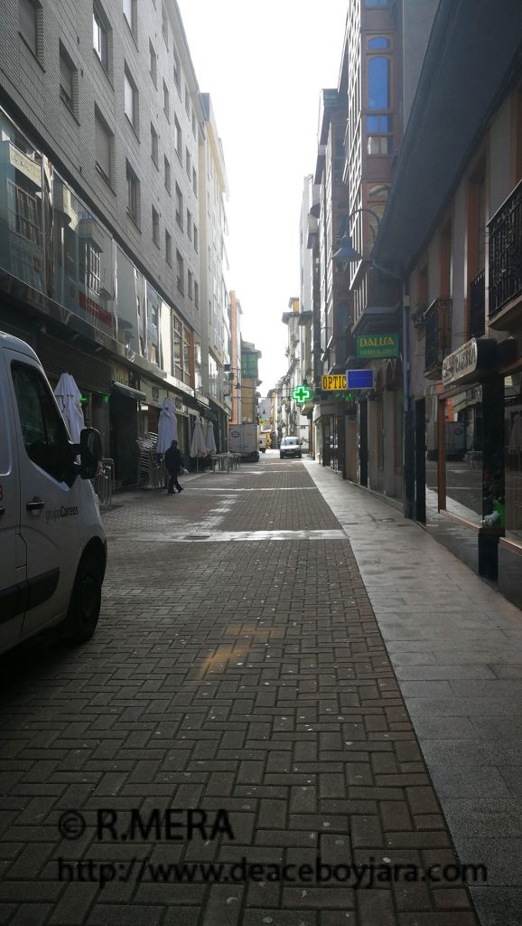 ENCLASUTRADOS VII.- Mortecina primavera > De acebo y jara