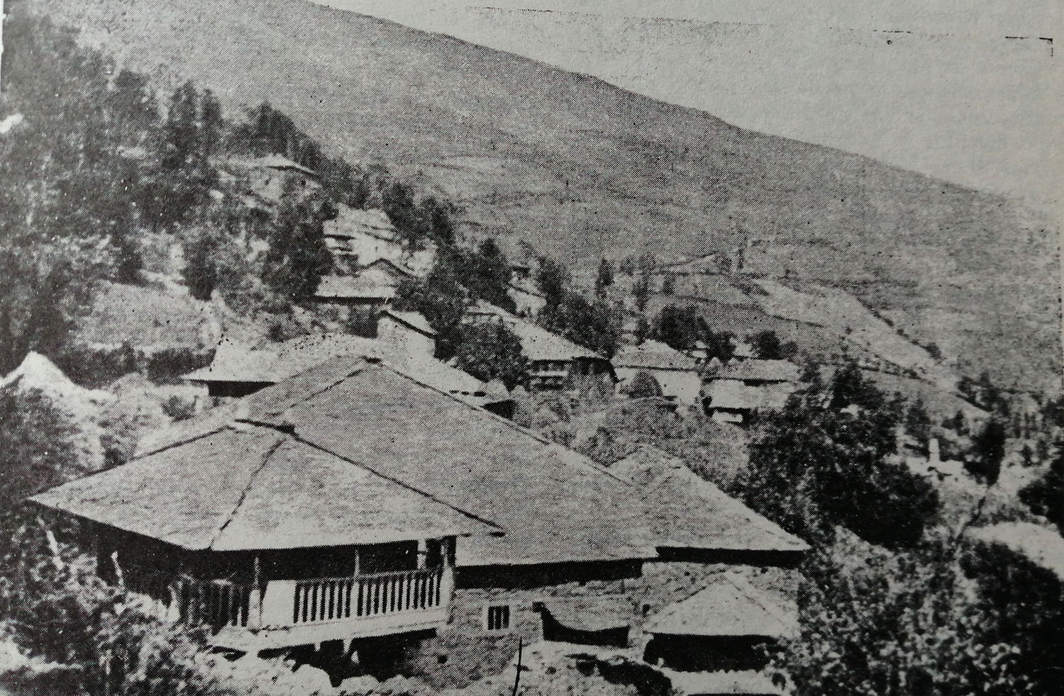 LARNA (Cangas del Narccea) “Nun apunte, señor nun apunte” > De acebo y jara